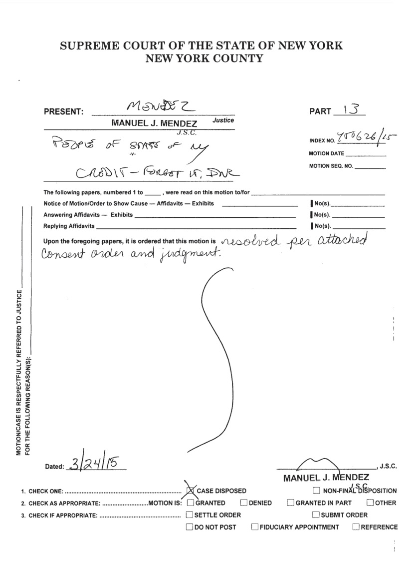 Consent Order Template | Free Word & Excel Templates