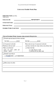Daily office Work Plan Template | Free Word & Excel Templates