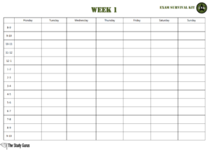 Study Timetable Template | Free Word & Excel Templates