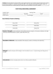 Functional Behavior Assessment Template | Free Word & Excel Templates