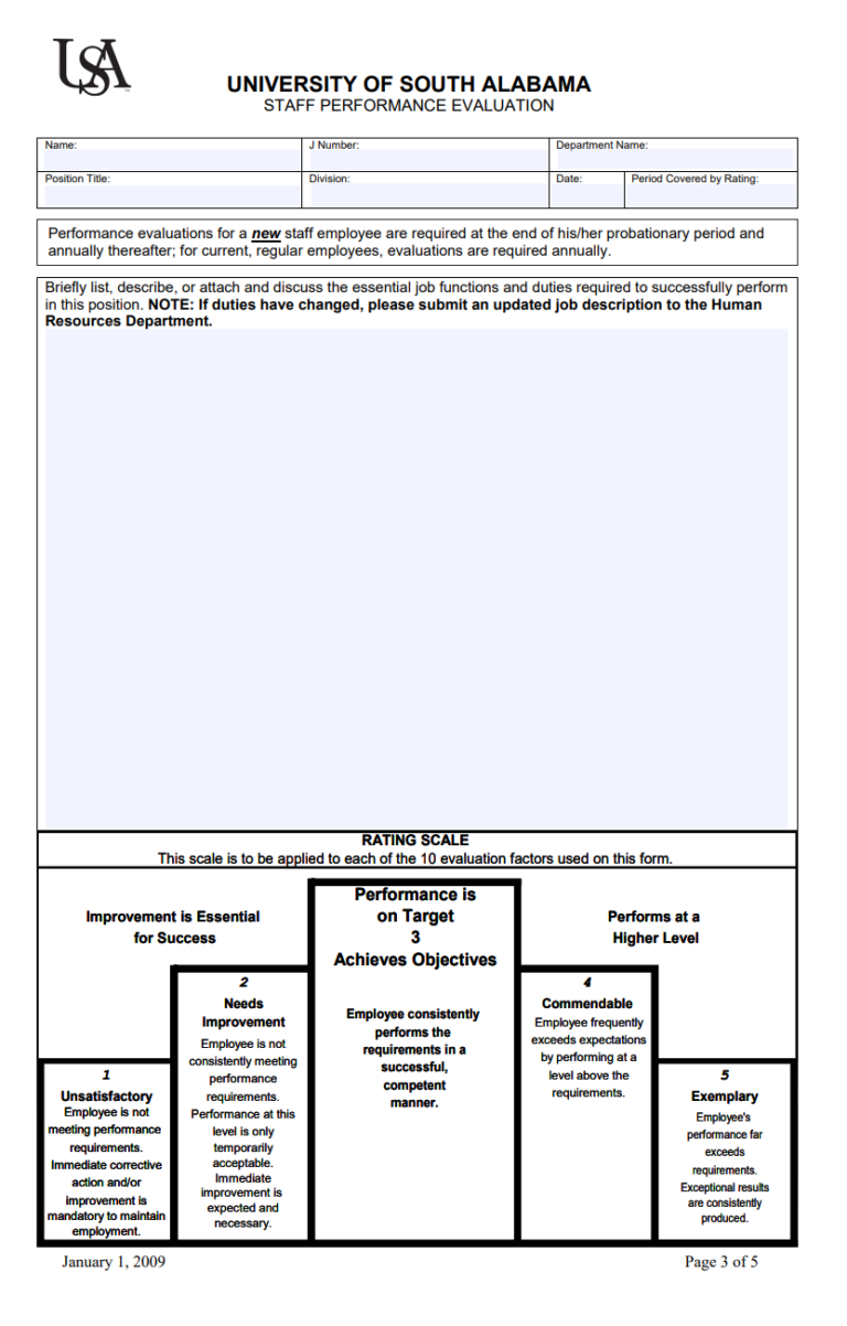Staff Interim Assessment Template | Free Word & Excel Templates